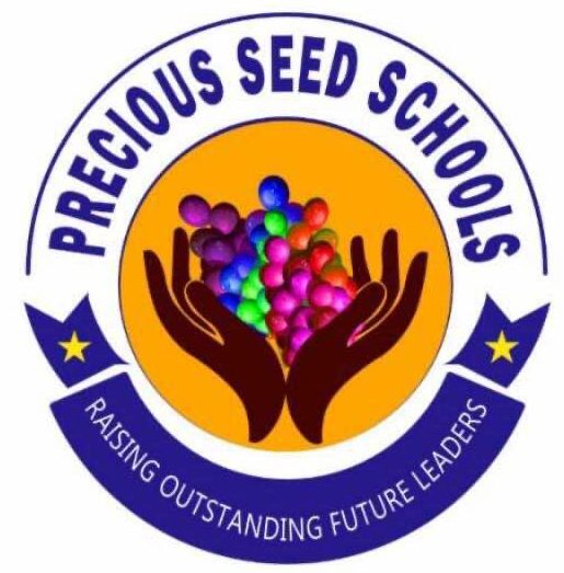 Home [precious-seed-school.com.ng]